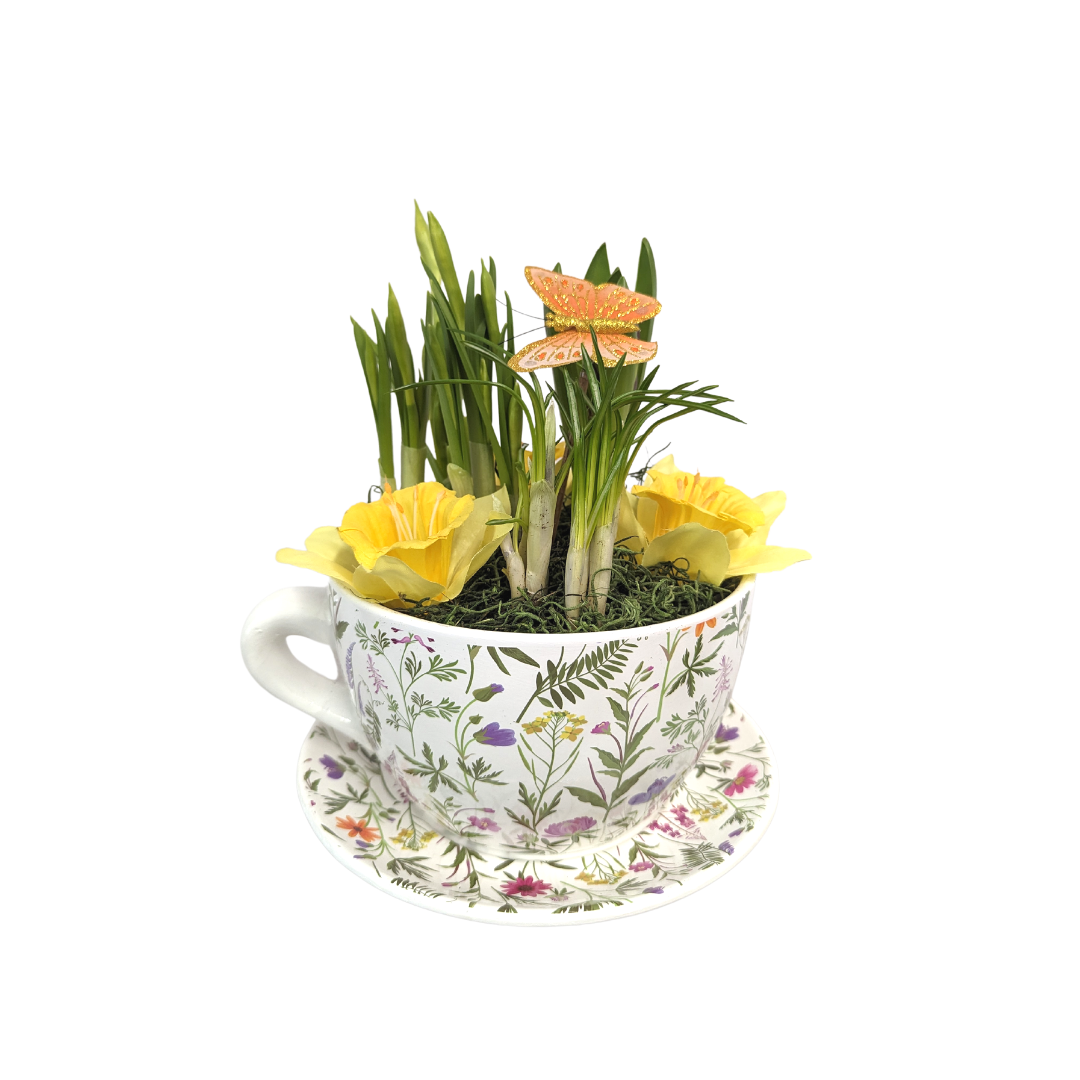Teacup Arrangement - Large – Lakeside Garden Gallery