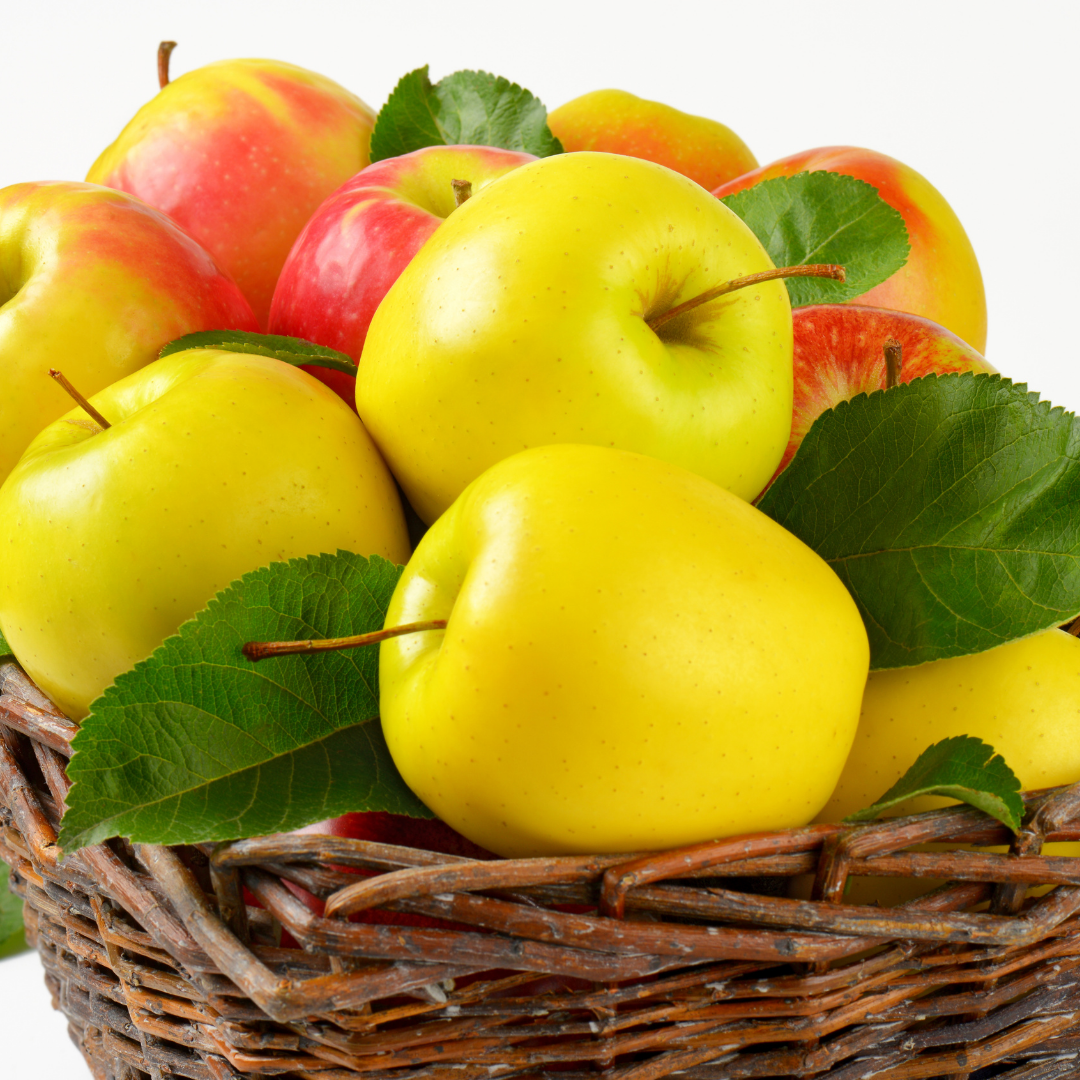 Apple x Tree 'Combo' – Lakeside Garden Gallery