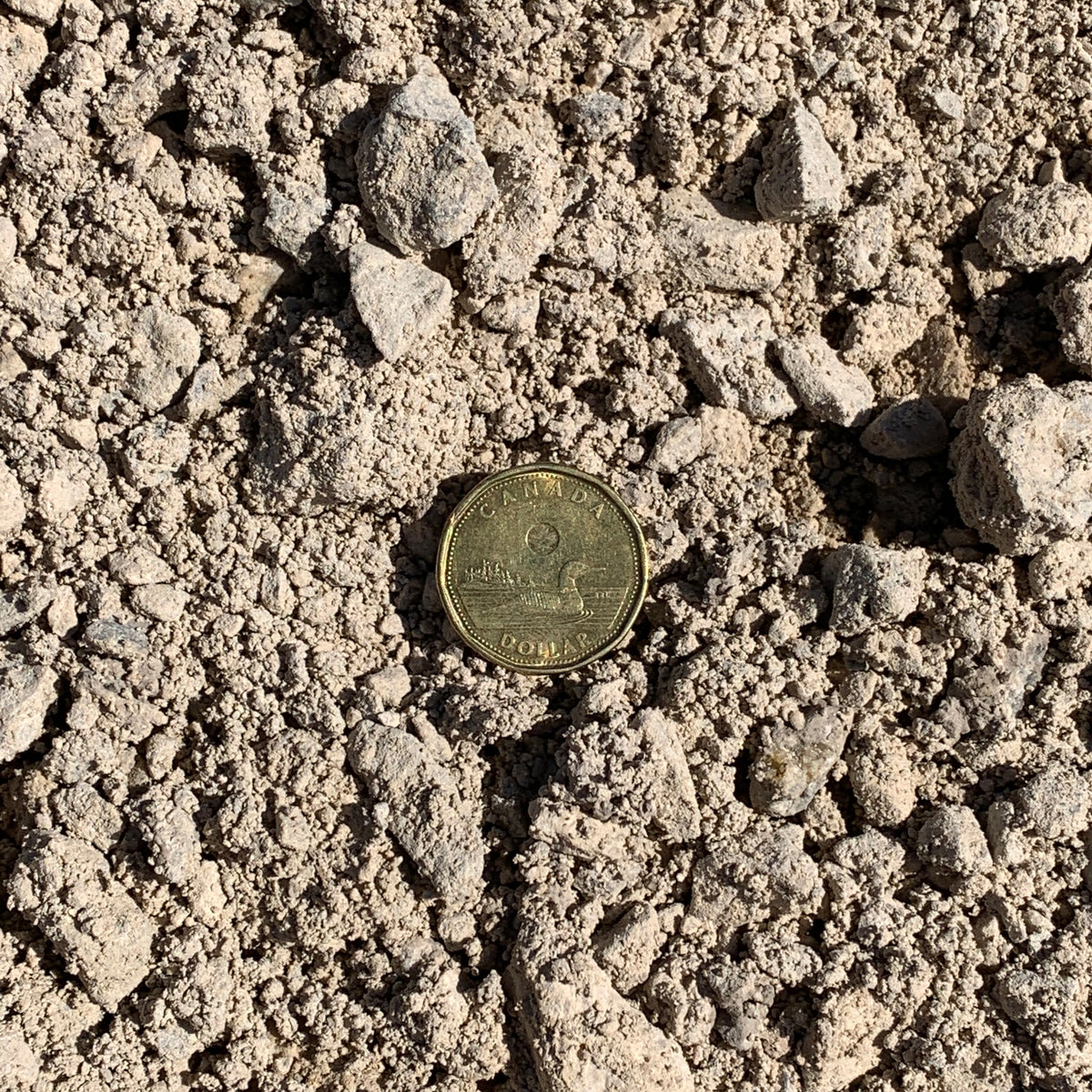 Crusher Run Gravel – Lakeside Garden Gallery