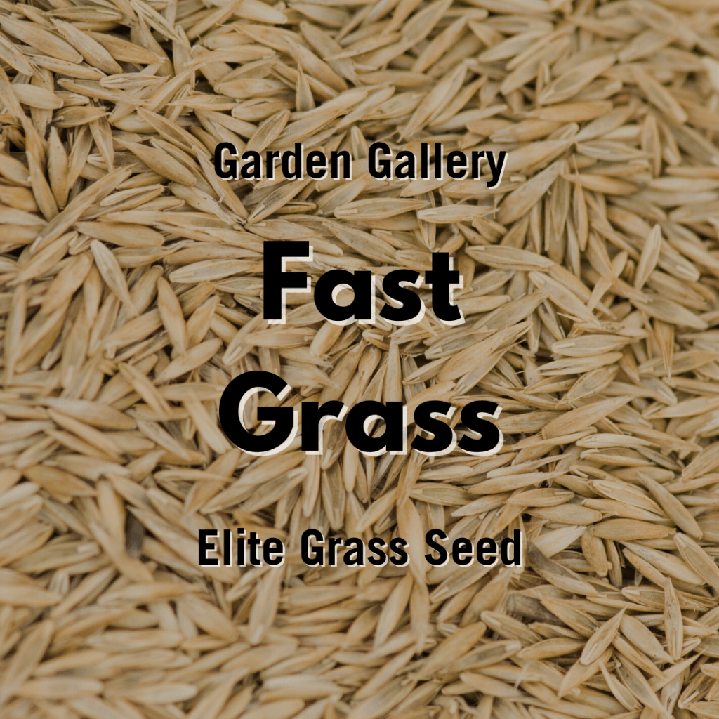 Garden Gallery Elite Fast Grass Seed – Lakeside Garden Gallery