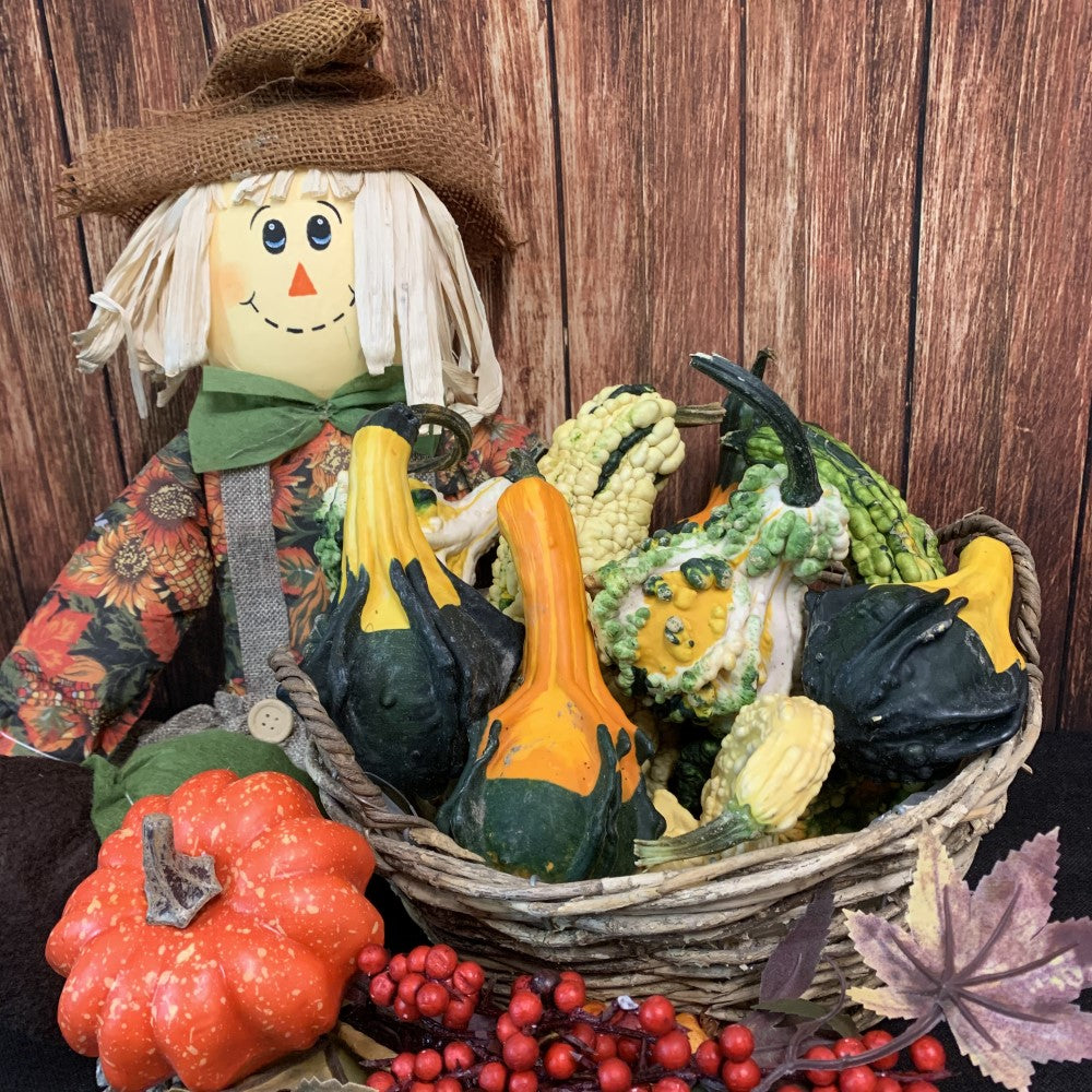 Mini Gourd – Lakeside Garden Gallery