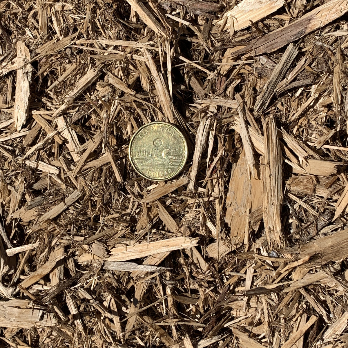 Natural Cedar Mulch - Bulk – Lakeside Garden Gallery