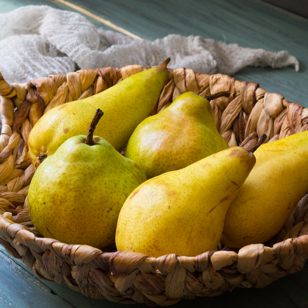 Pear x Tree 'Combo' – Lakeside Garden Gallery