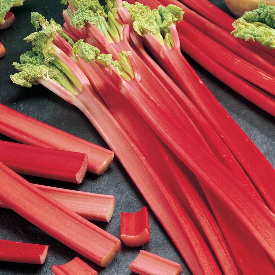 Canada Red Rhubarb – Lakeside Garden Gallery